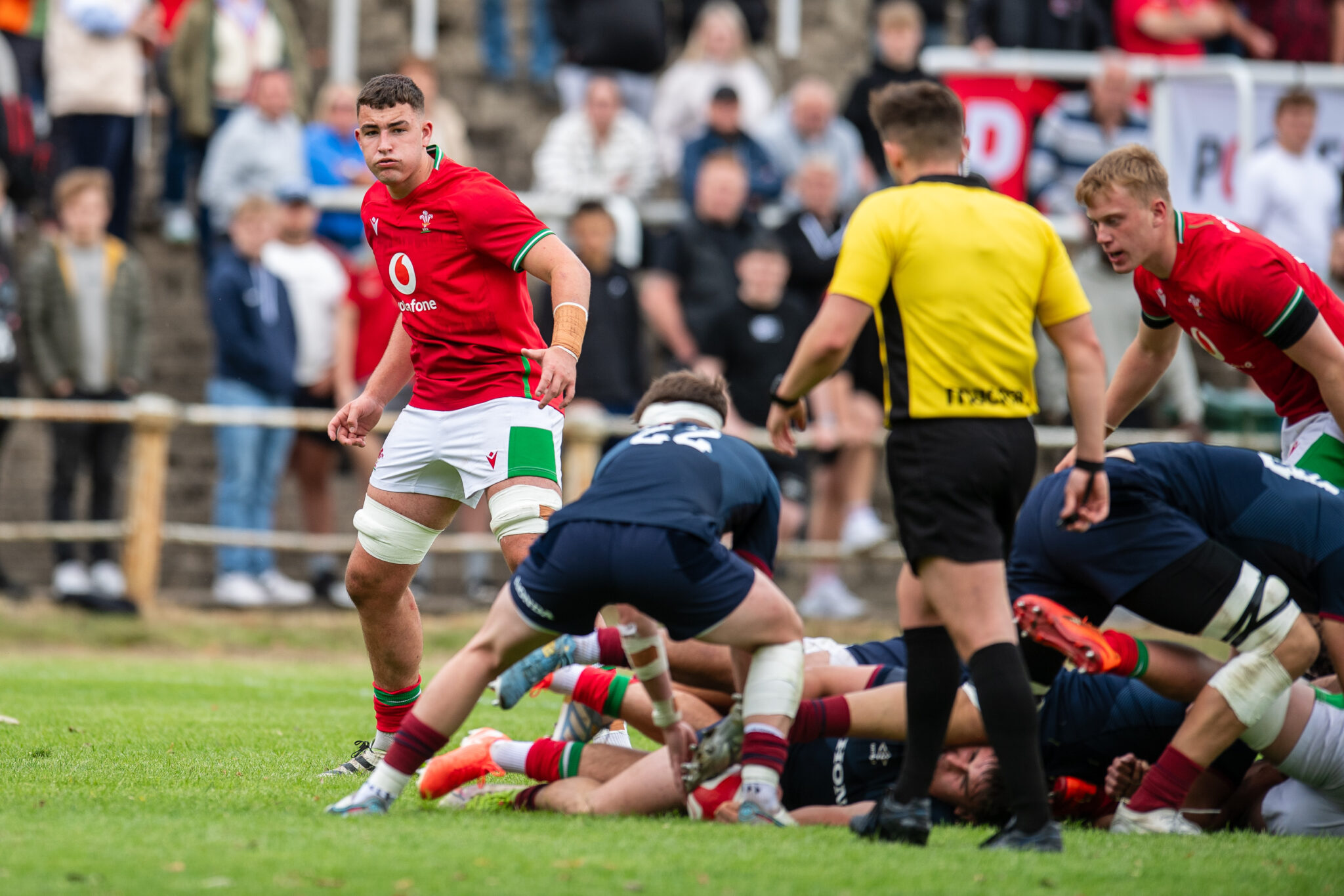 Rory Jennings - Cardiff Rugby